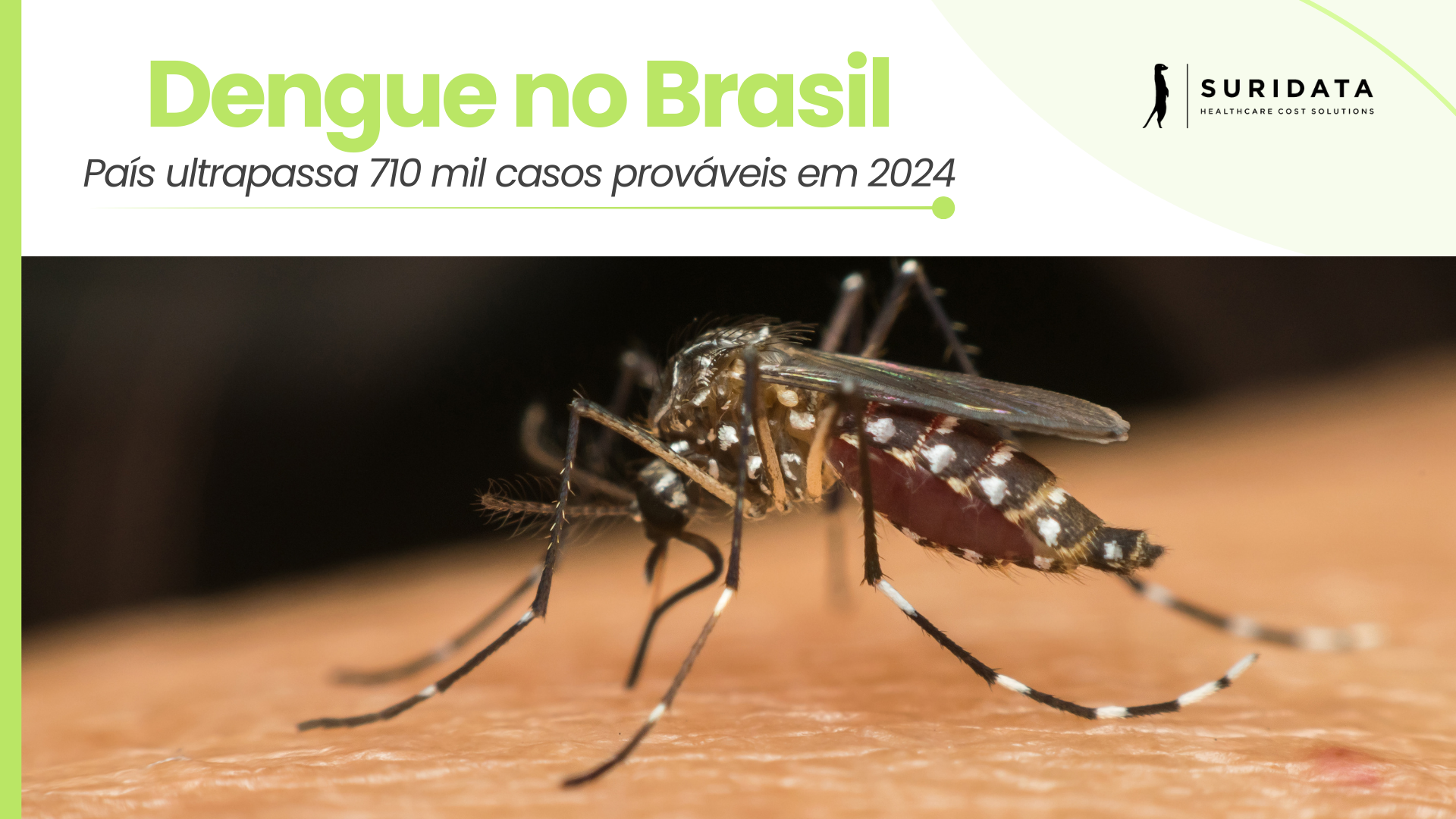 Dengue no Brasil: País ultrapassa 710 mil casos prováveis em 2024